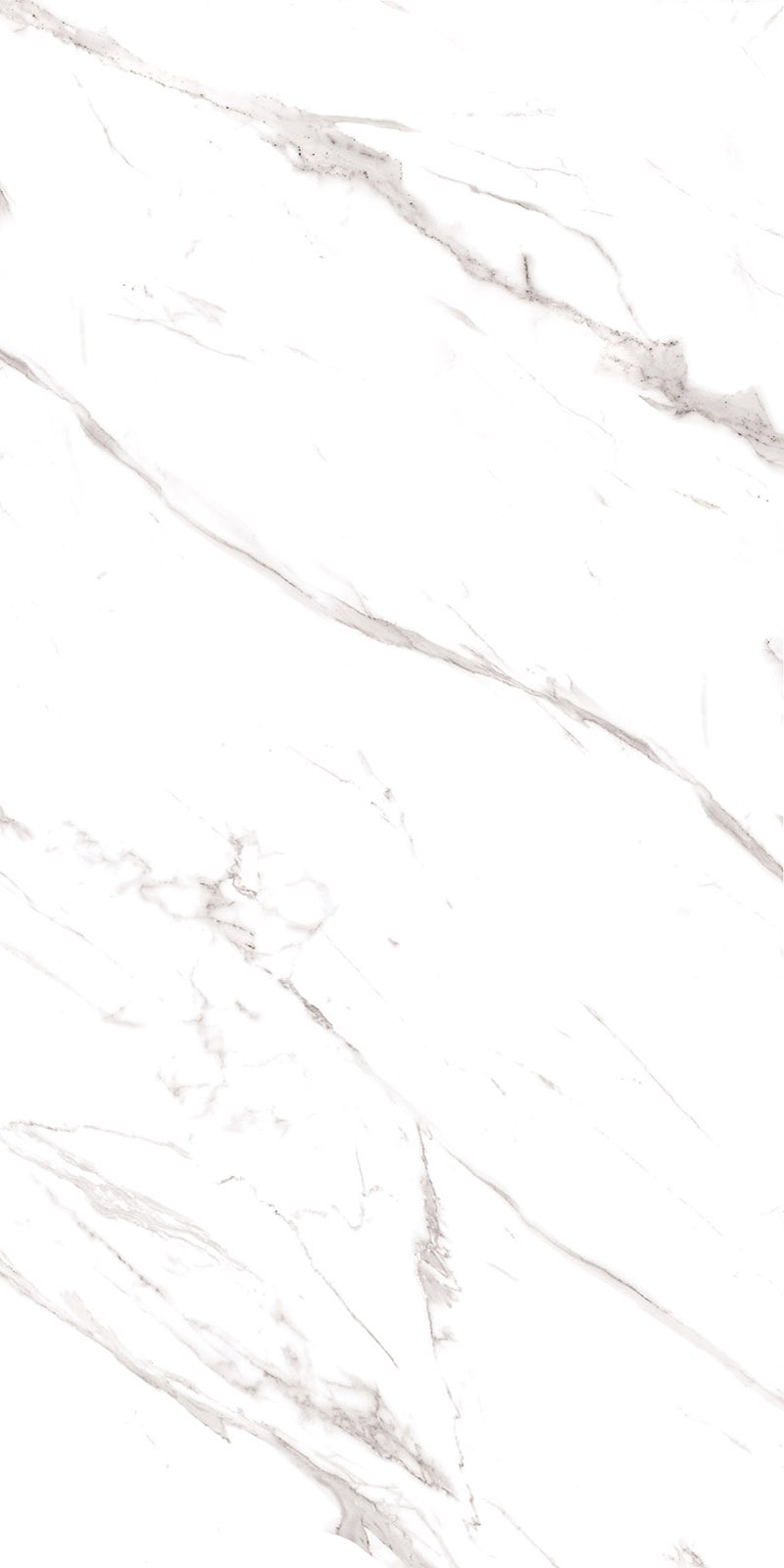 800x1600 Super White - Sense Ceramica